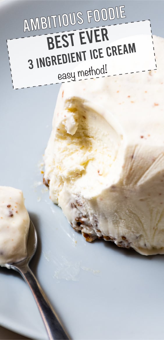 Easy 3 Ingredient Ice Cream - Ambitious Foodie